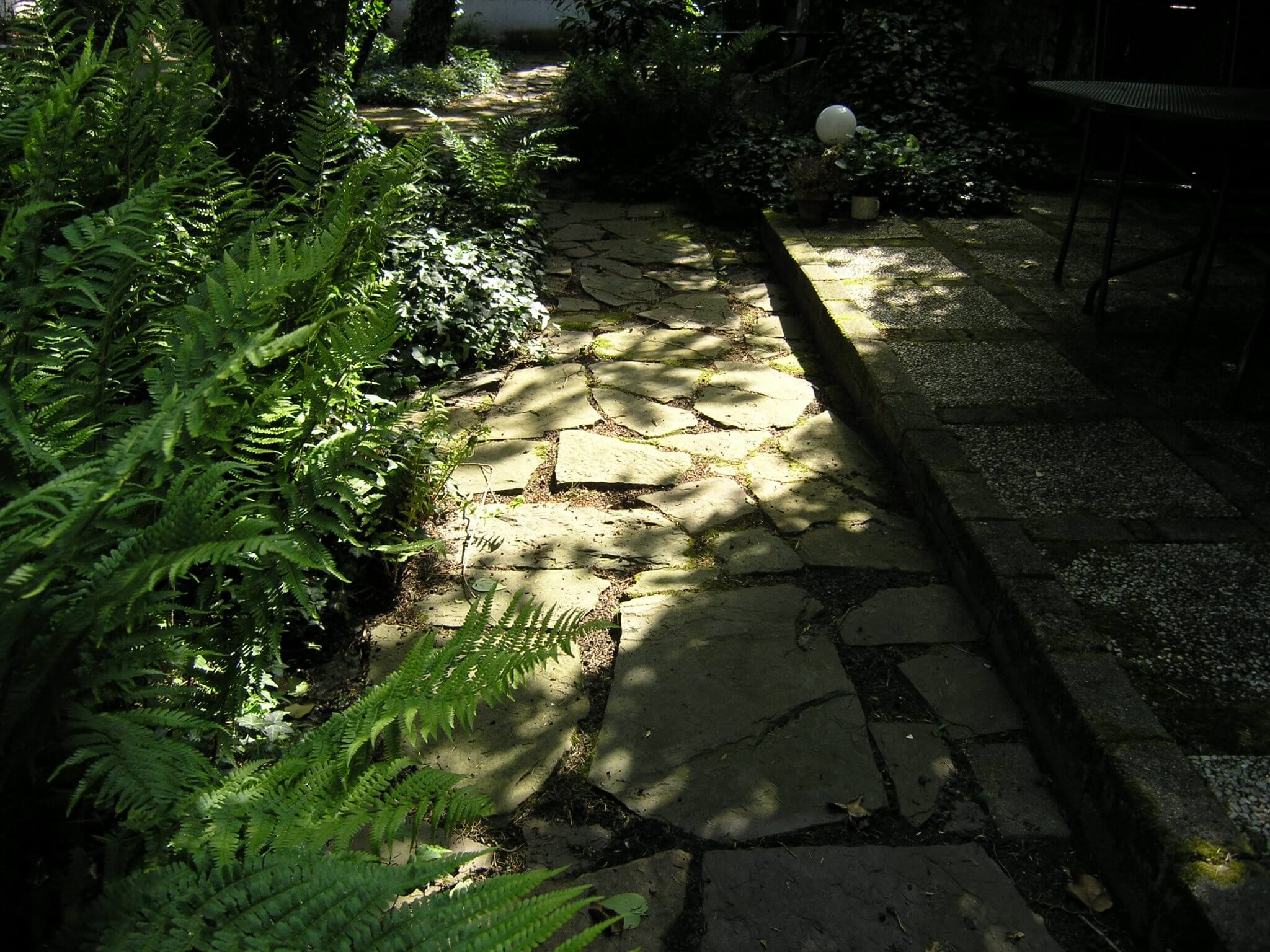 ‘A combination of insight and beauty’ Stephen Dunn-Poet(1939-2021) – In ...