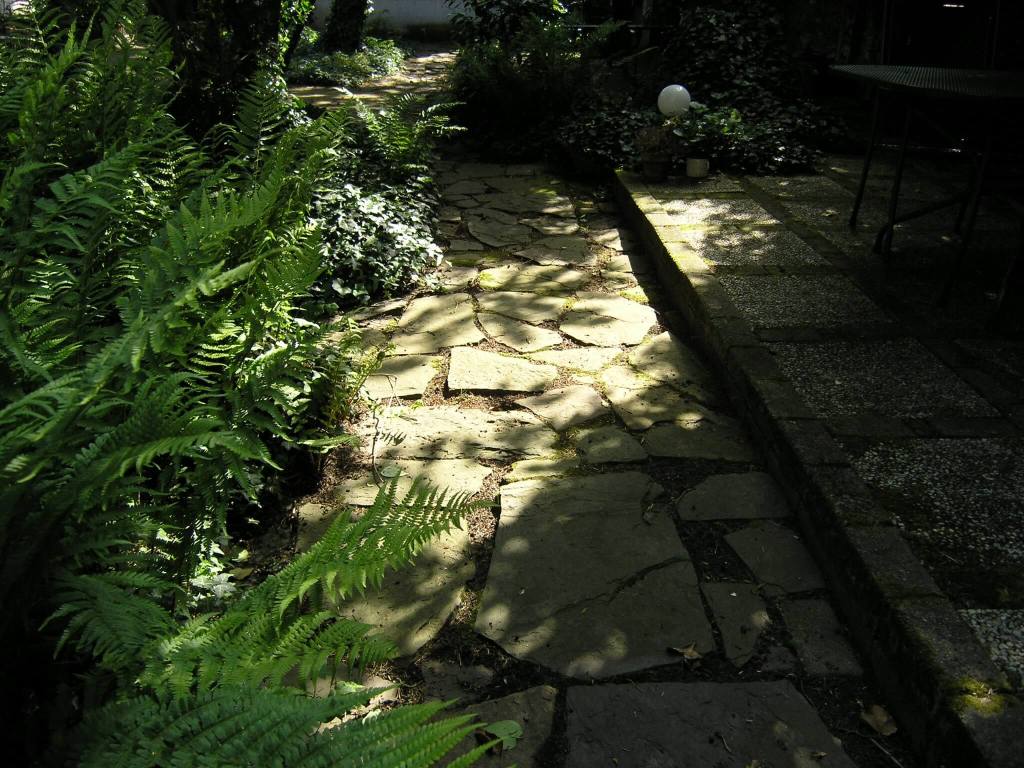 ‘A combination of insight and beauty’ Stephen Dunn-Poet(1939-2021) – In ...